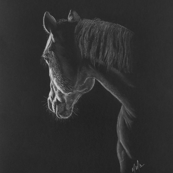 Home - Gallery of Gifts